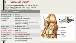 Kinesiology types of joints | PPT