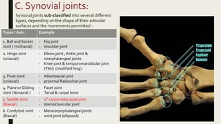 Kinesiology types of joints | PPT
