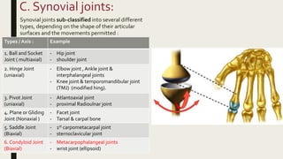 Kinesiology types of joints | PPT