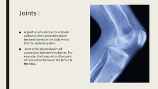 Kinesiology types of joints | PPT