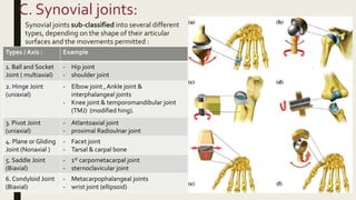 Kinesiology types of joints | PPT