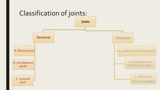 Kinesiology types of joints | PPT