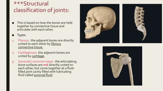 Kinesiology types of joints | PPT