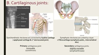 Kinesiology types of joints | PPT