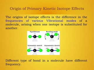 Kinetic isotope effects | PDF