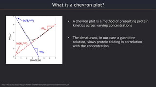 L1 Protein Kinetics | PPT