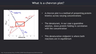 L1 Protein Kinetics | PPT