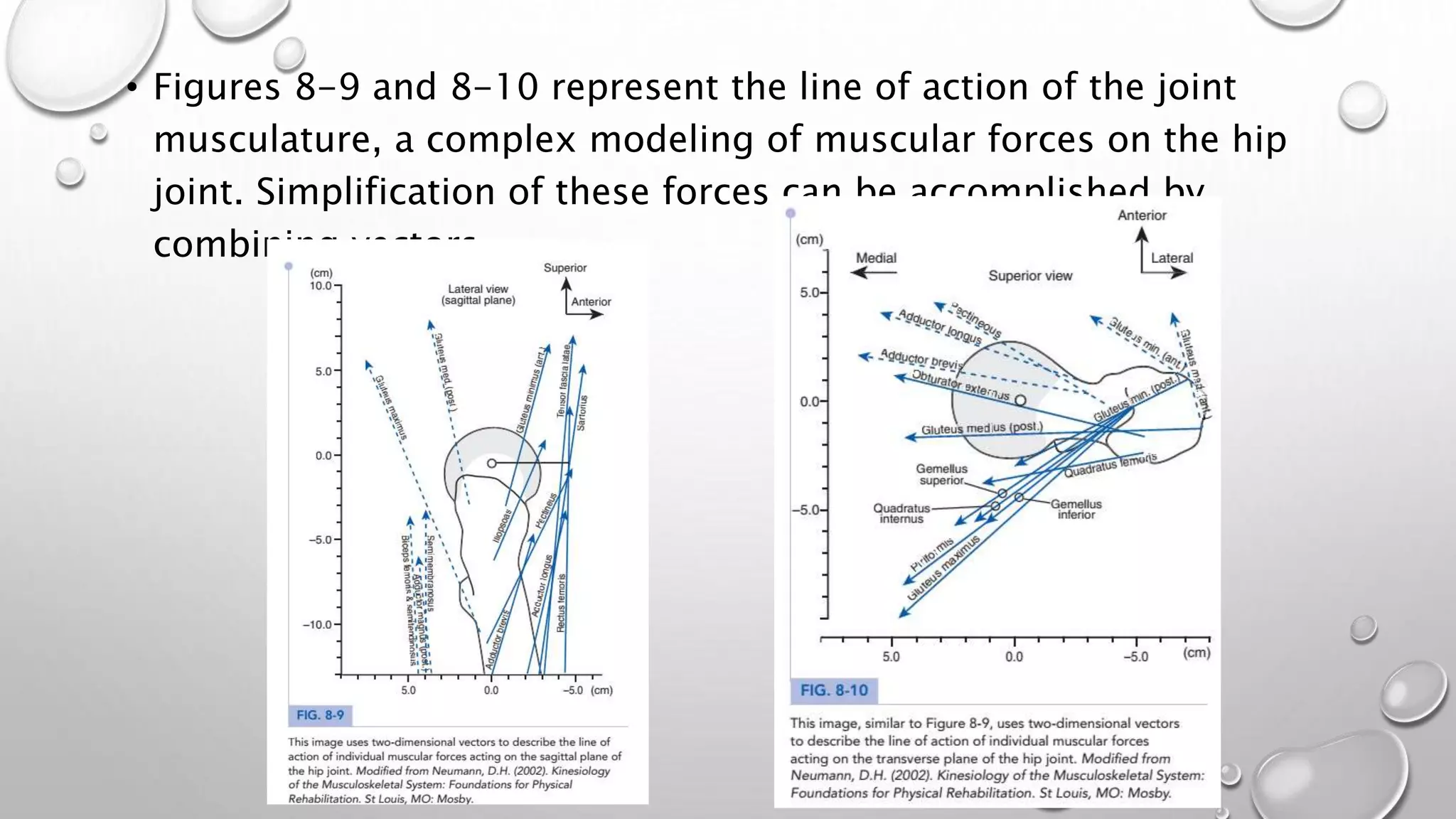 Kinetics and kimematics of the hip | PPTX