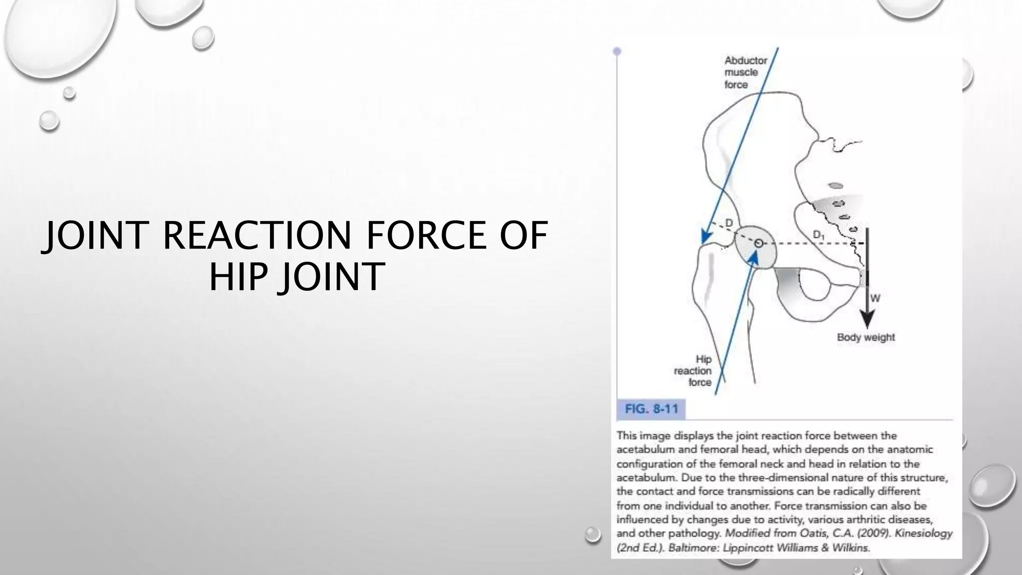 Kinetics and kimematics of the hip | PPTX