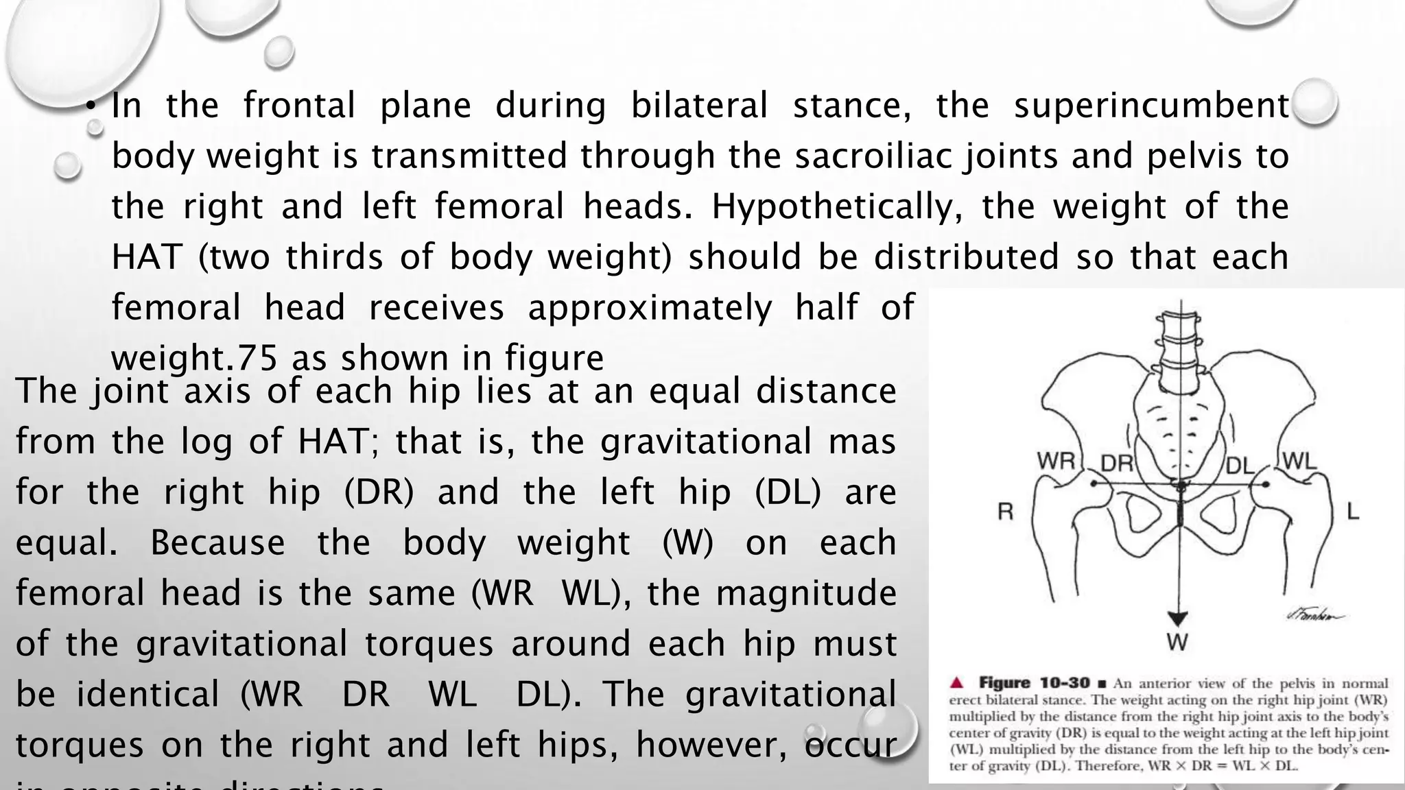Kinetics and kimematics of the hip | PPTX