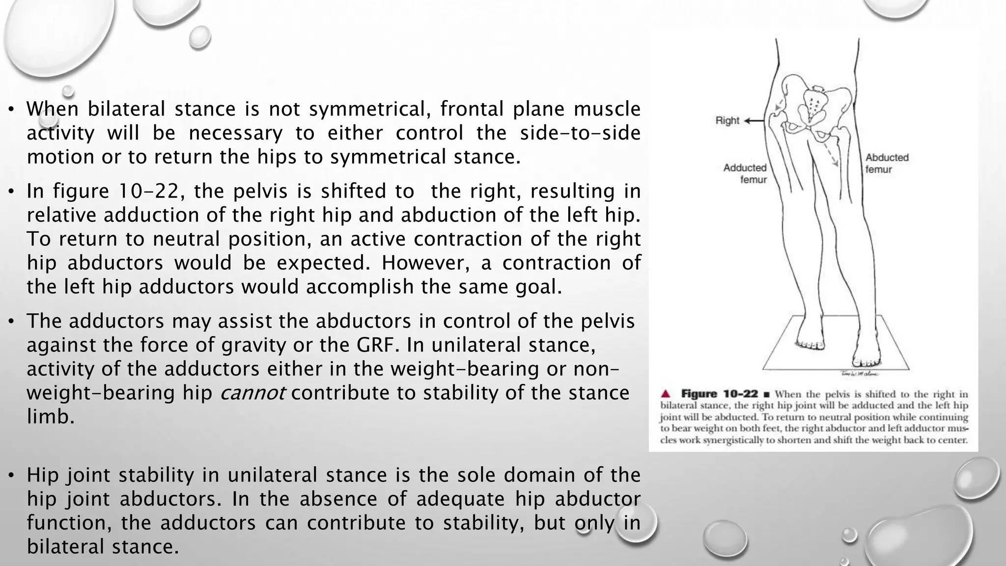 Kinetics and kimematics of the hip | PPTX