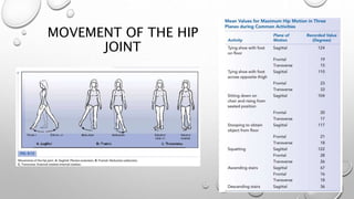 Kinetics and kimematics of the hip | PPTX