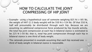 Kinetics and kimematics of the hip | PPTX