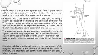 Kinetics and kimematics of the hip | PPTX