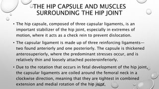Kinetics and kimematics of the hip | PPTX
