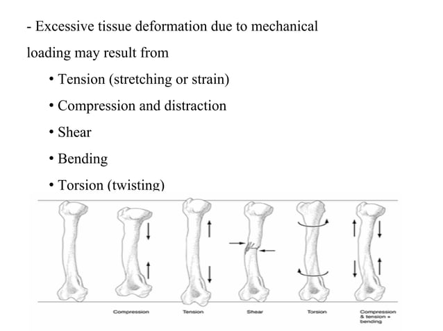 Kinetics and kinematics | PDF | Death, Injury, or Military Conflict ...