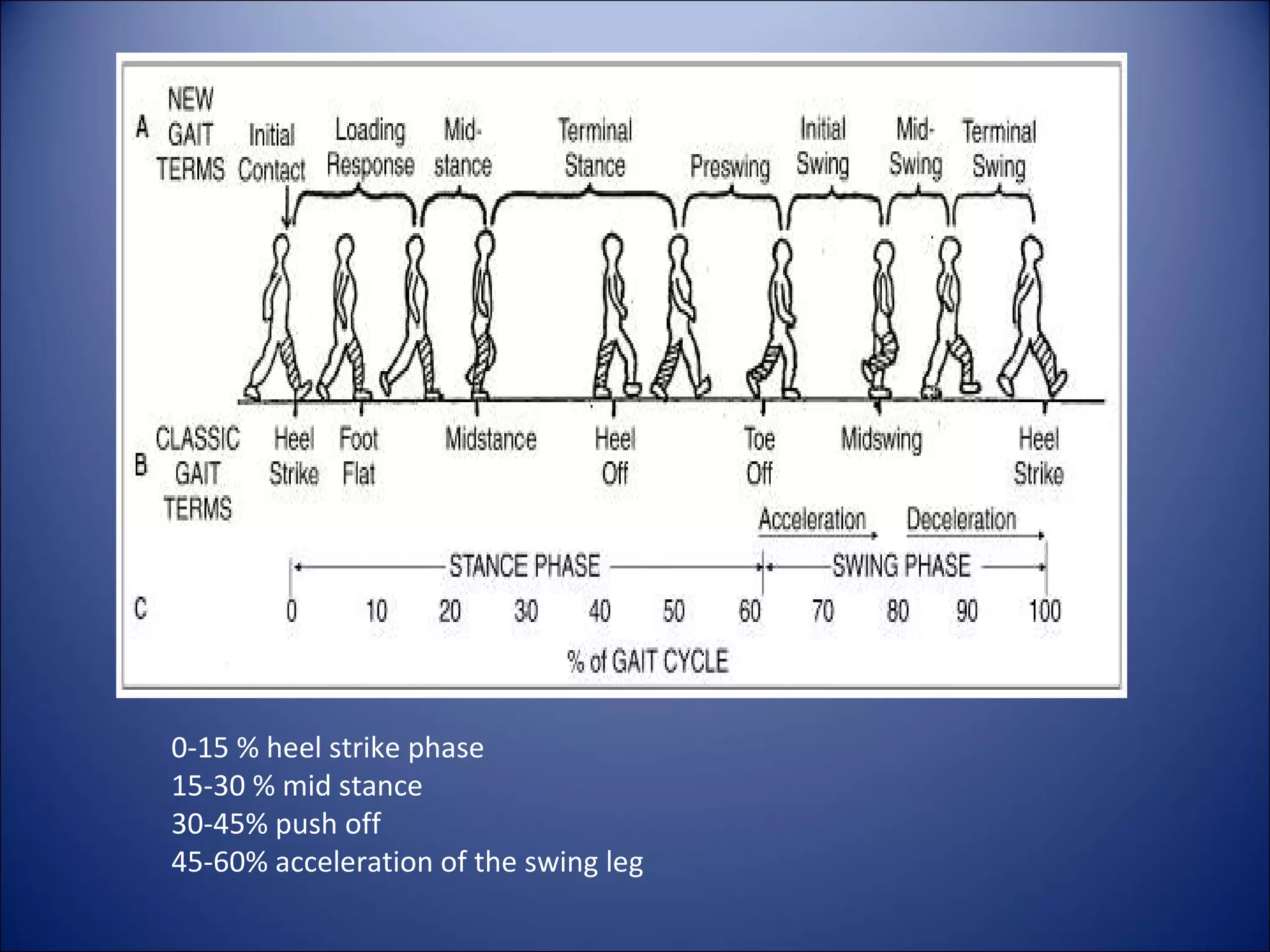 Kinetics and kinematics of gait | PPT