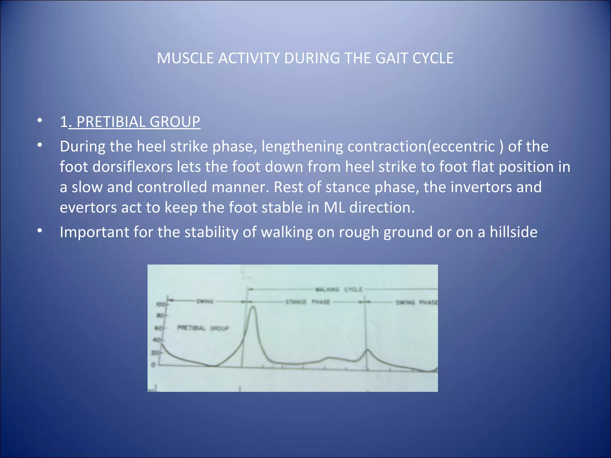 Kinetics and kinematics of gait | PPT