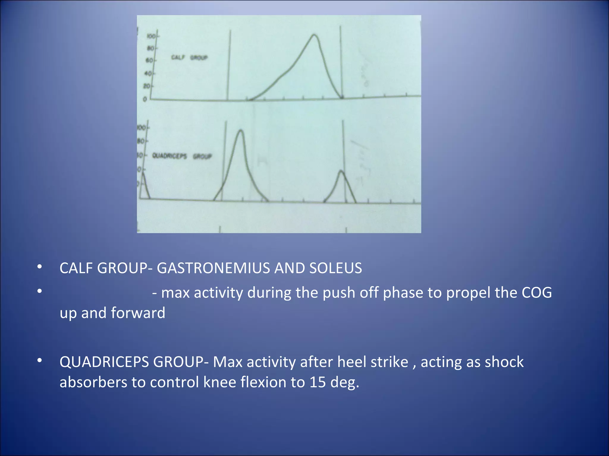 Kinetics and kinematics of gait | PPT
