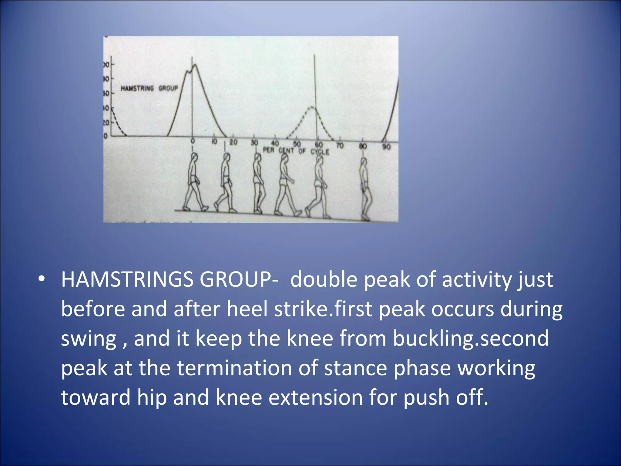 Kinetics and kinematics of gait | PPT