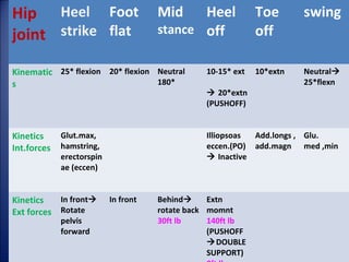 Kinetics and kinematics of gait | PPT
