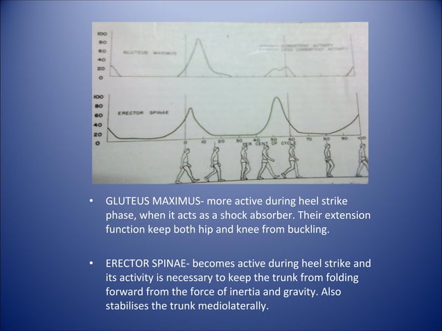 Kinetics and kinematics of gait | PPT | Physics | Science