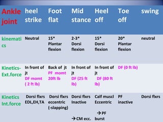 Kinetics and kinematics of gait | PPT