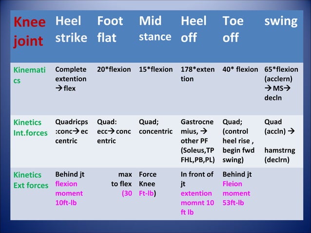 Kinetics and kinematics of gait | PPT | Physics | Science
