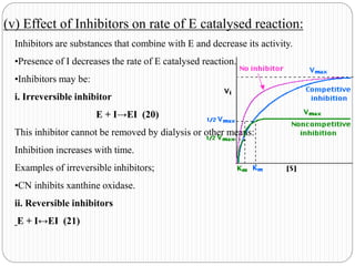 Enzyme Kinetics and thermodynamic analysis | PPTX
