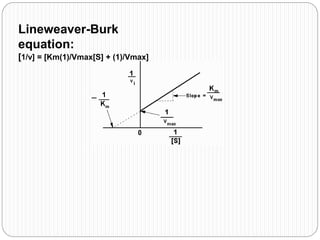 Enzyme Kinetics and thermodynamic analysis | PPTX | Chemistry | Science