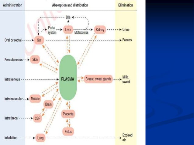 KINETICS OF ELIMINATION - Copy.ppt