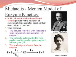 Kinetics of enzyme action | PPTX