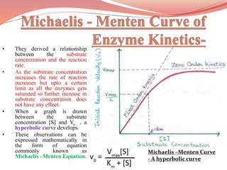 Kinetics of enzyme action | PPTX