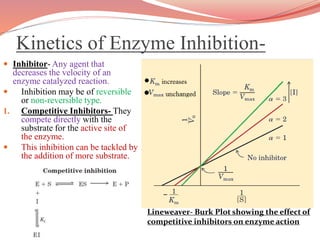 Kinetics of enzyme action | PPTX