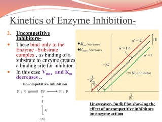 Kinetics of enzyme action | PPTX