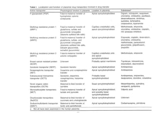 Kinetics of glyburide metabolism by humans and baboons using liver and ...