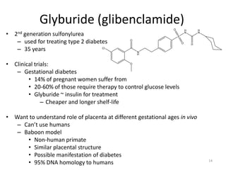 Kinetics of glyburide metabolism by humans and baboons using liver and ...