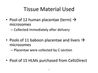 Kinetics of glyburide metabolism by humans and baboons using liver and ...