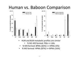 Kinetics of glyburide metabolism by humans and baboons using liver and ...
