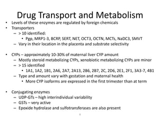 Kinetics of glyburide metabolism by humans and baboons using liver and ...