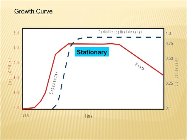 Kinetics of growth | PPT