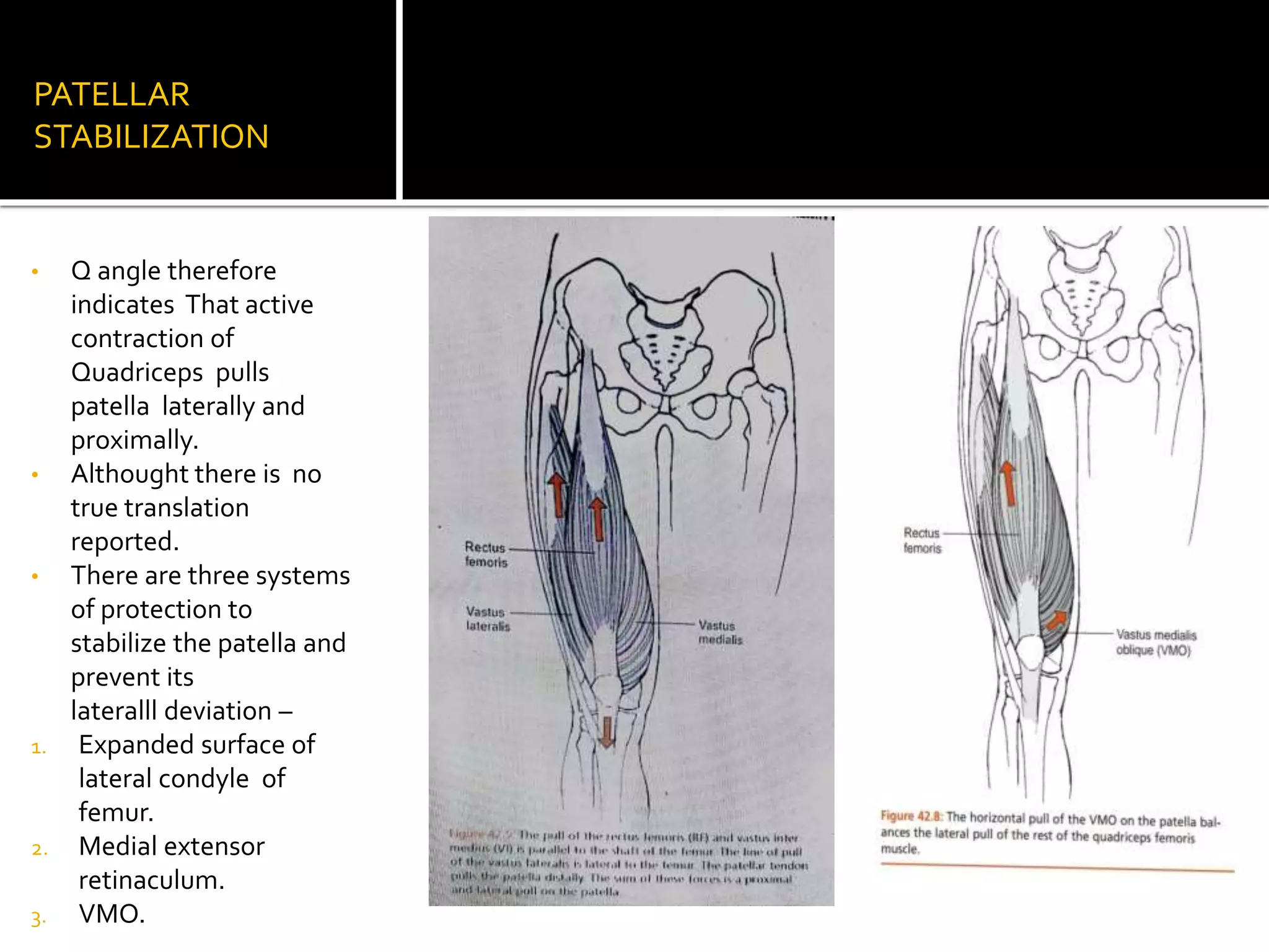 Kinetics of knee joint | PPTX