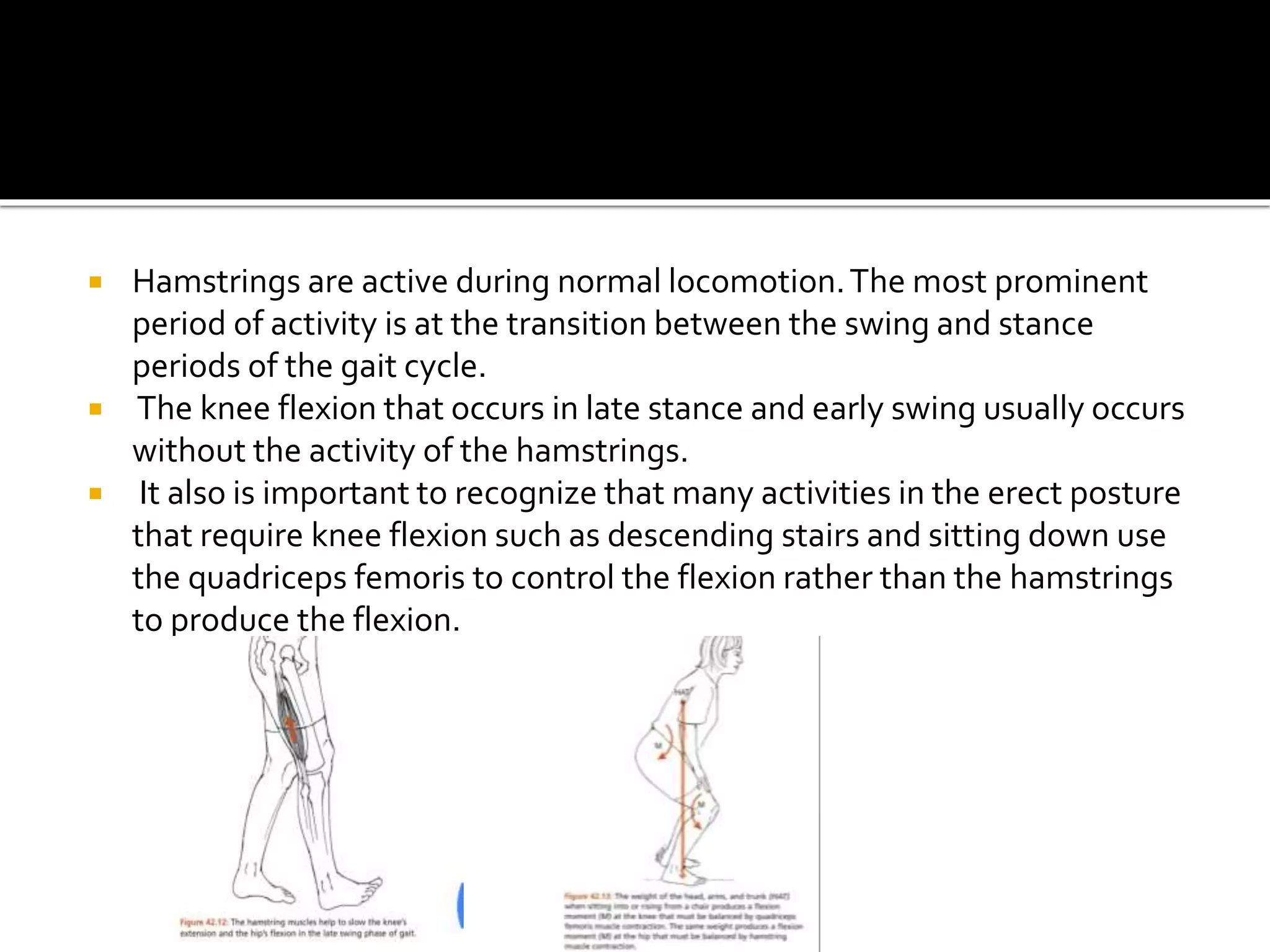 Kinetics of knee joint | PPTX