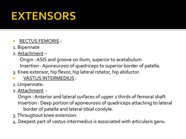 Kinetics of knee joint | PPTX