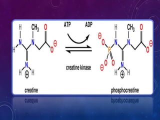 Kinetics of multi substrate enzyme catalyzed reaction | PPTX