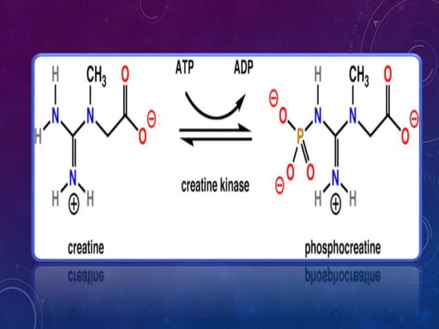 Kinetics of multi substrate enzyme catalyzed reaction | PPTX ...