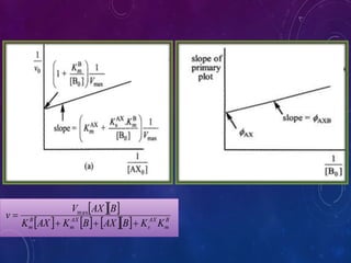 Kinetics of multi substrate enzyme catalyzed reaction | PPTX