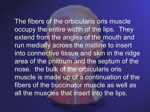 Kinetics of orofacial muscles in c.d. dr barman /orthodontic courses by ...