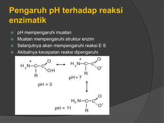 Kinetika enzim | PPTX