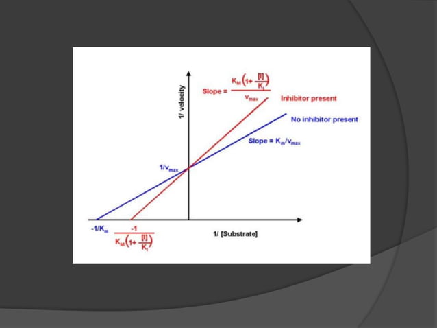 Kinetika enzim | PPTX